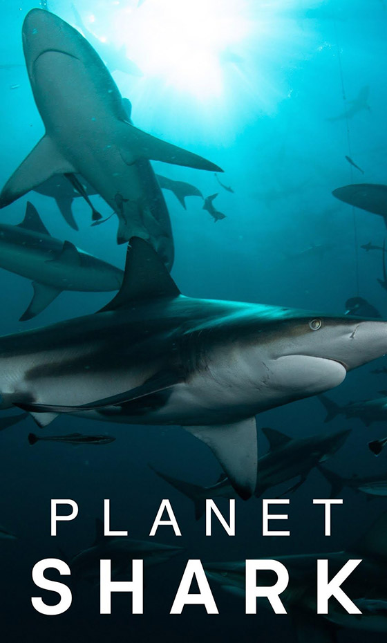 In-Flight Entertainment - Movie, Music, TV & More | Malaysia Airlines