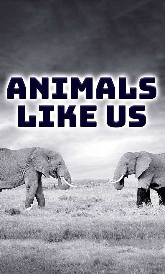 In-Flight Entertainment - Movie, Music, TV & More | Malaysia Airlines