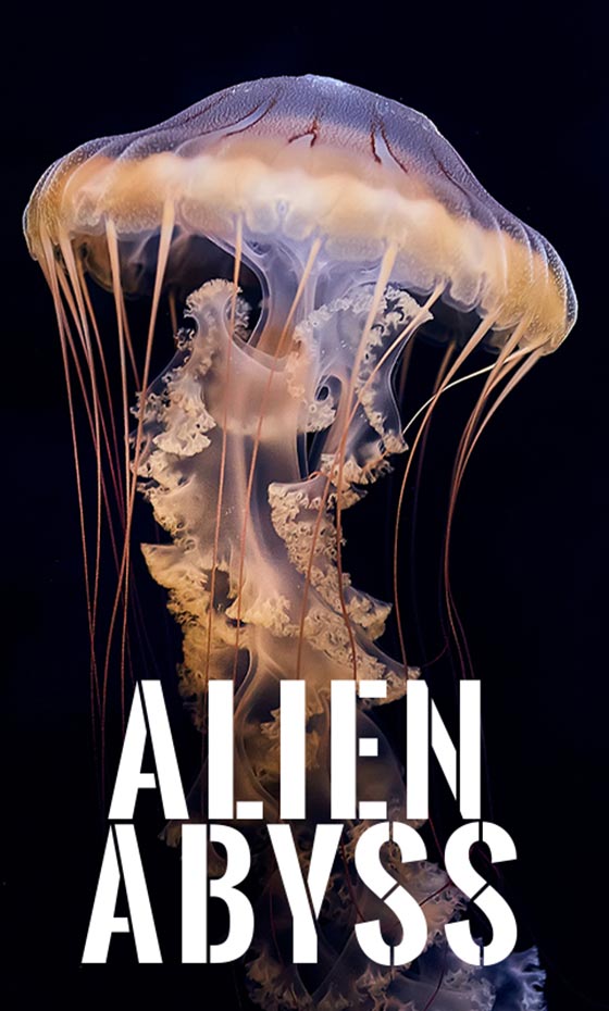 In-Flight Entertainment - Movie, Music, TV & More | Malaysia Airlines