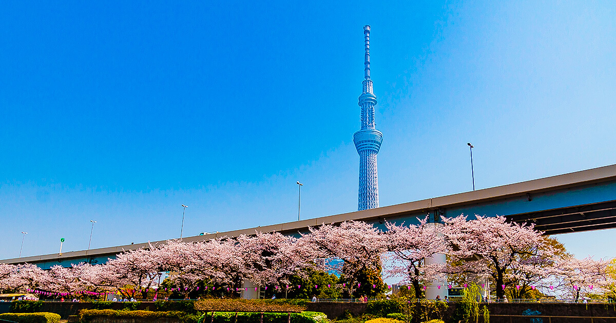 Fly to Tokyo and Discover Its Wonders | Malaysia Airlines